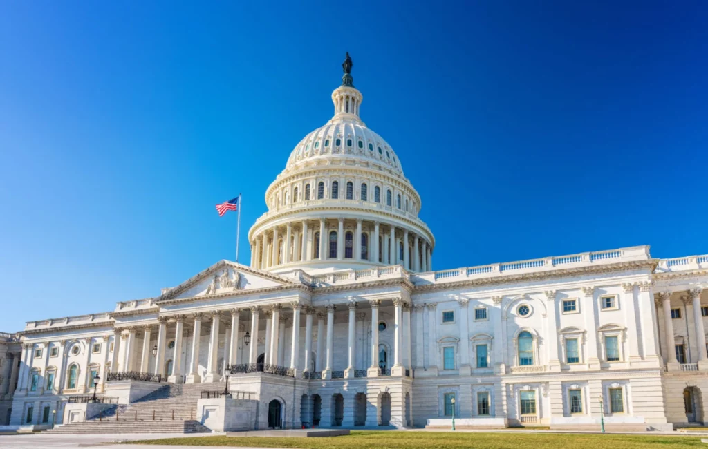 Revisiting the Argument that Government is Too Small